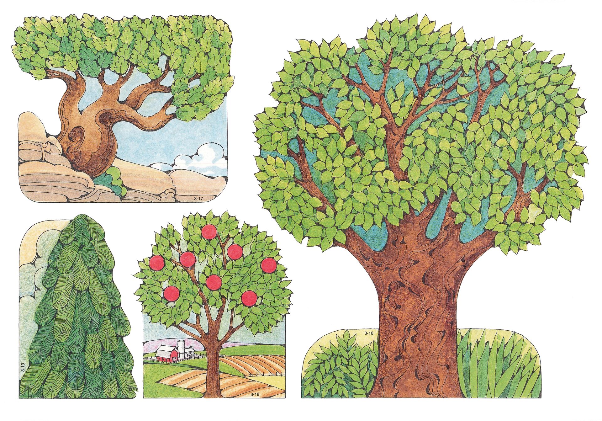 Primary Visual Aids: Cutouts 3-16, Large Tree with Grass; 3-17, Small ...