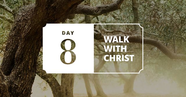 Walk with Christ: Day 8 | Come unto Christ