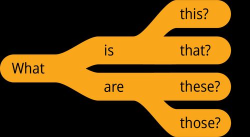 Lesson 8: Everyday Common Items