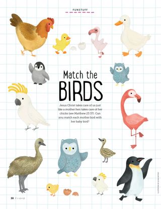 Match the Birds