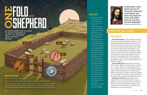 One Fold and One Shepherd