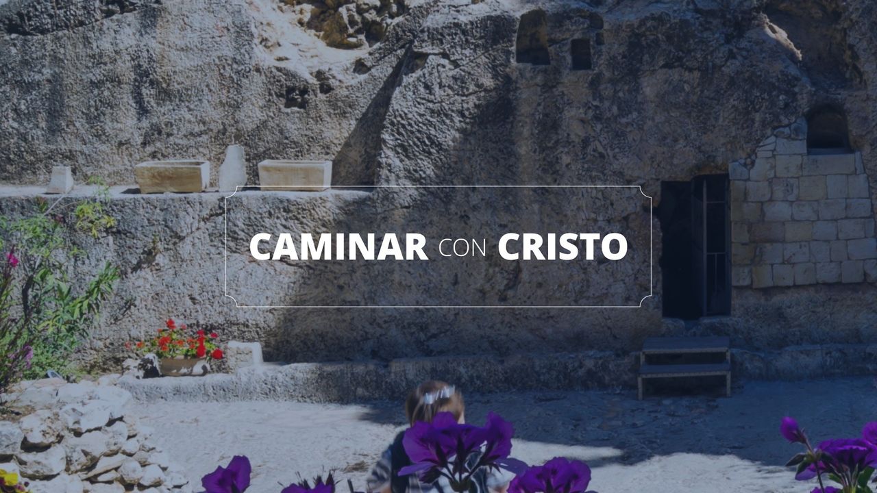 Caminar con Cristo | VeniraCristo.org
