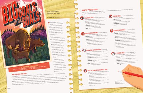 Big Goals, Little Goals