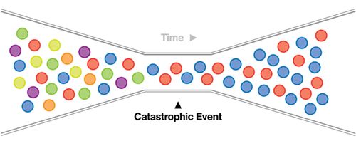 Book of Mormon and DNA Studies